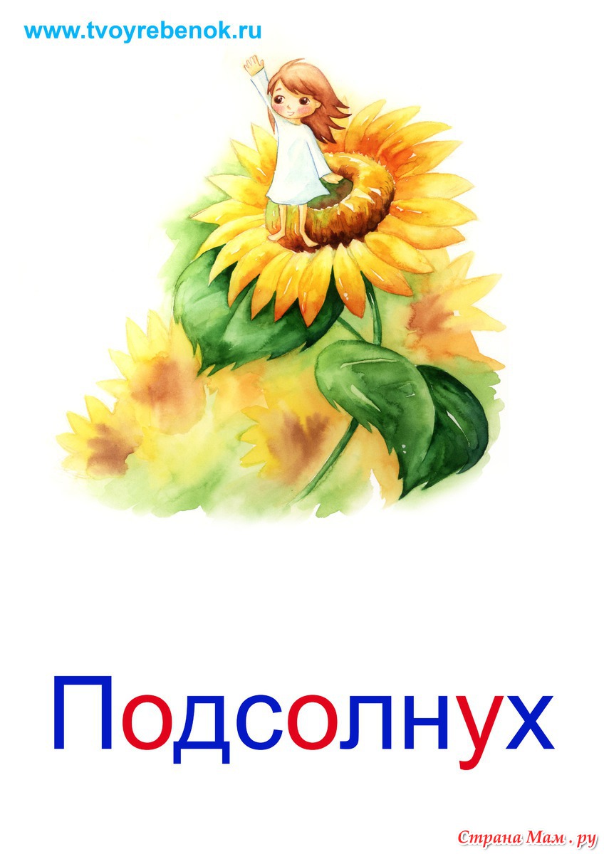 Карточки Глена Домана на тему "Цветы". - Страна Мам