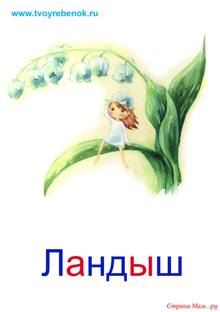 Карточки Глена Домана на тему "Цветы". - Страна Мам
