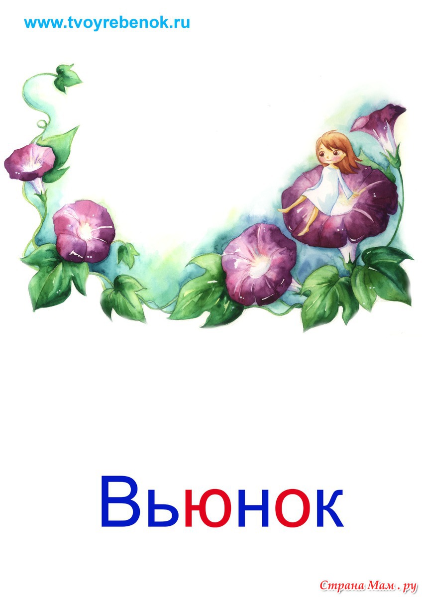 Карточки Глена Домана на тему "Цветы". - Страна Мам