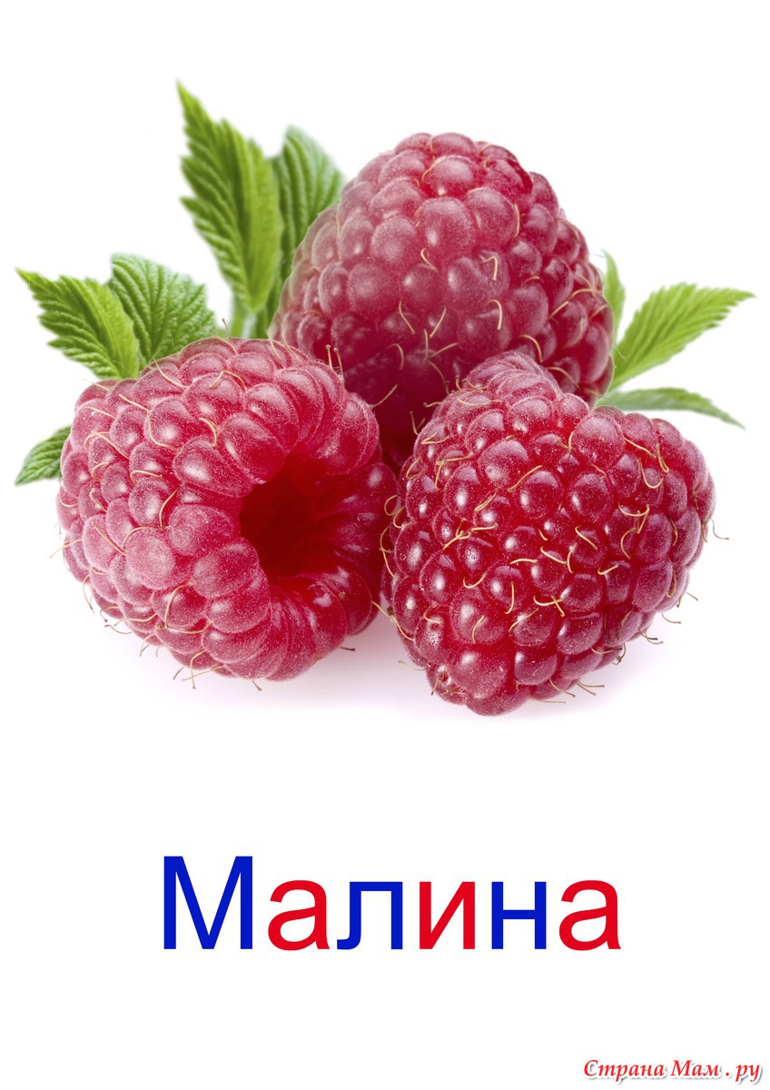 Карточки Глена Домана на тему "Овощи". - Страна Мам