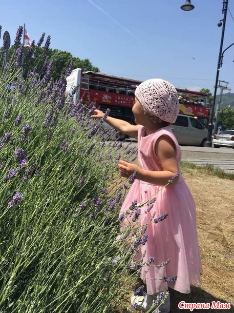 . Беретик по фото - Вязание - Страна Мам